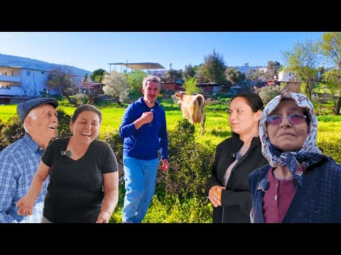 Muğla'ya gelen birine MUTLAKA GİT diyeceğim KÖY! (Çamlık-Bodrum)