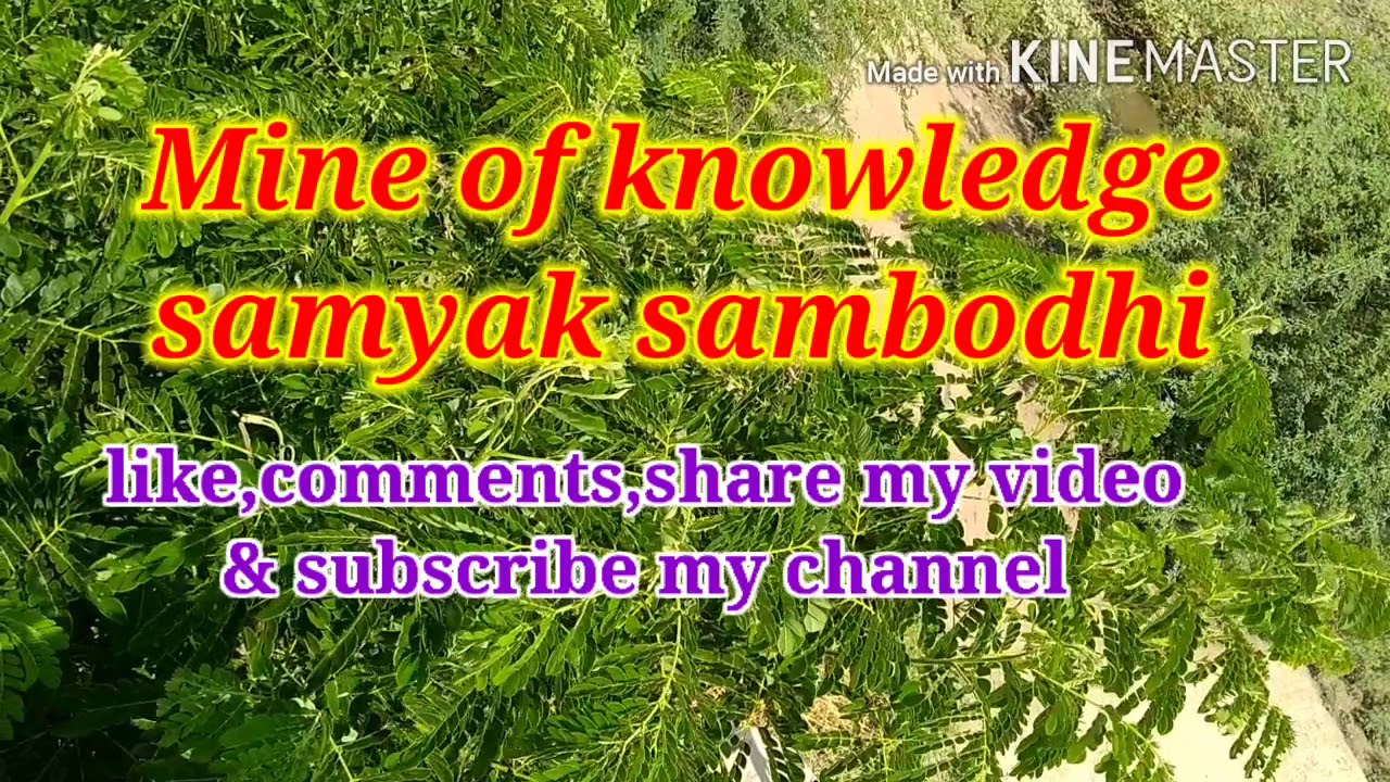 Moral Of The Movie YouTube moral-of-the-movie-youtube