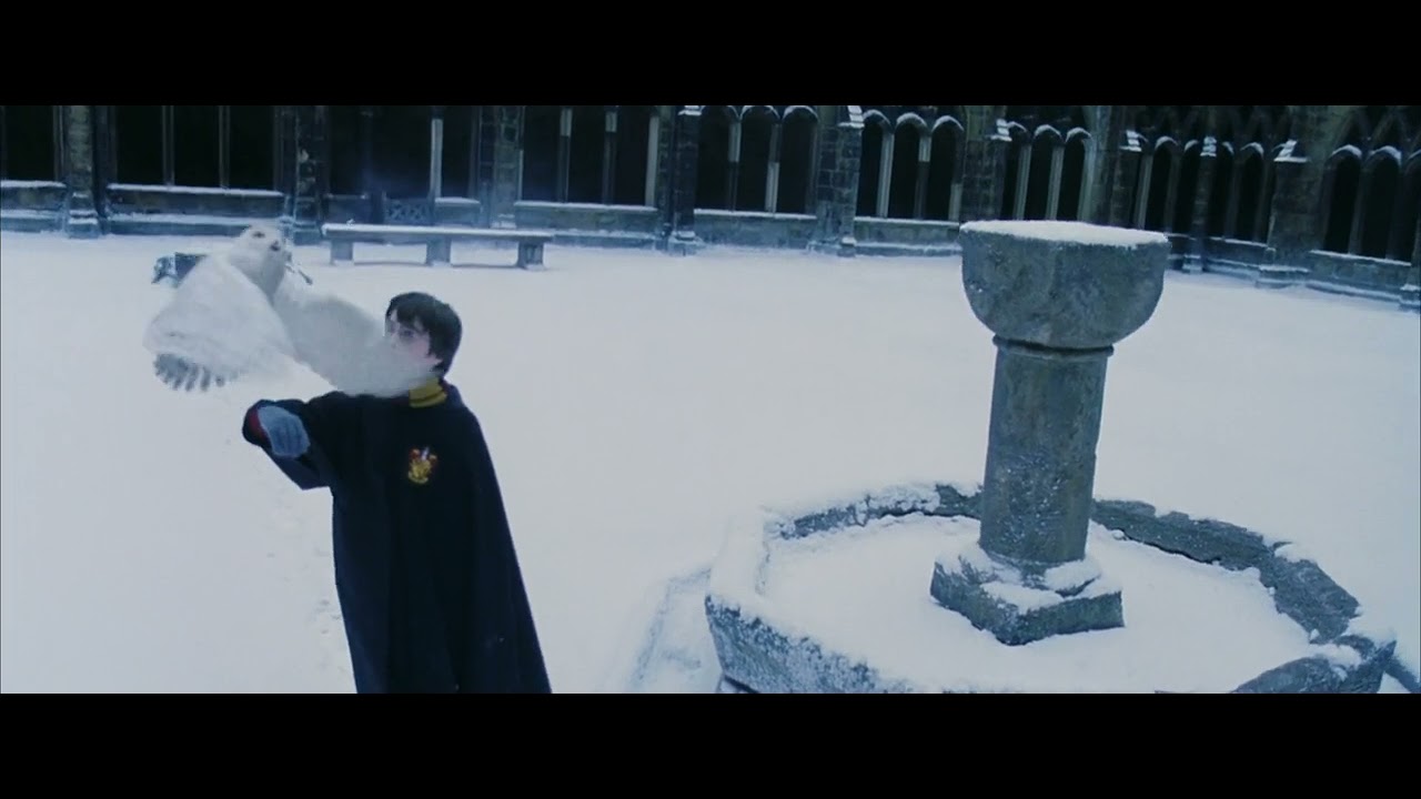 Harry Potter sending his bird - YouTube