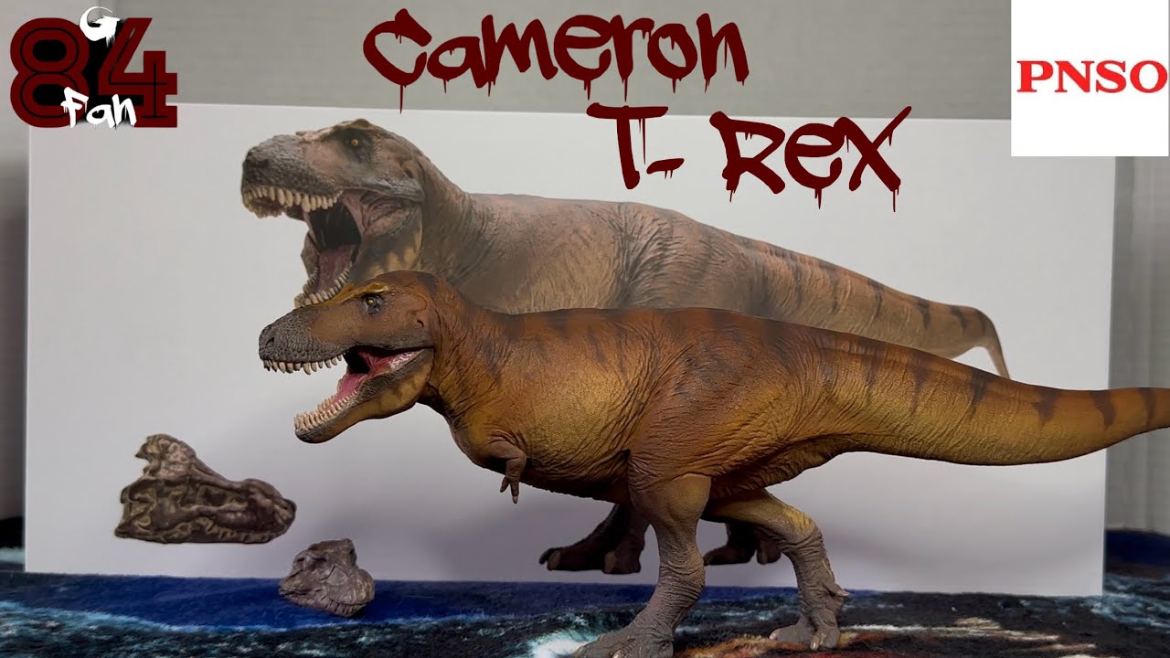 PNSO Cameron the Tyrannosaurus Rex Review!!! - YouTube