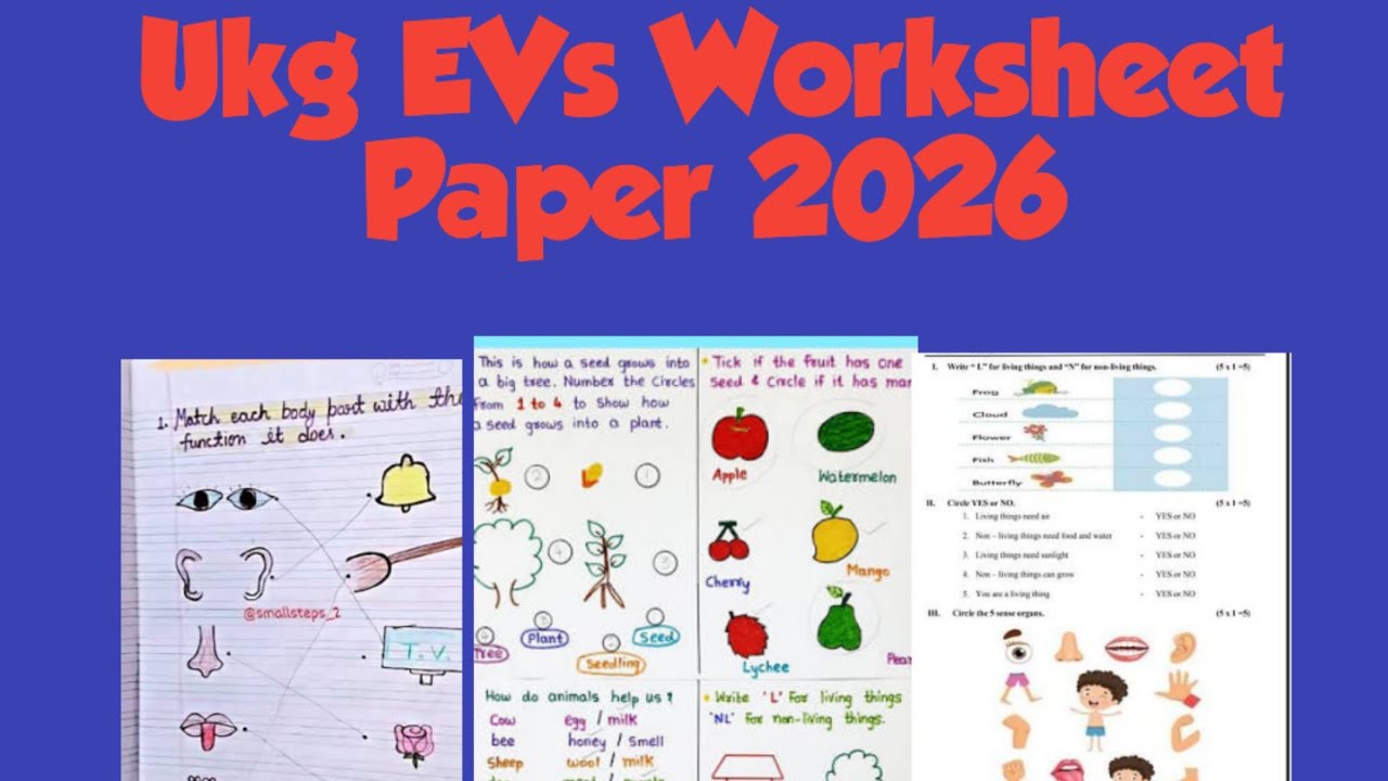 UKG EVS Worksheet | EVS Worksheet for UKG | senior kg EVS Worksheet ...