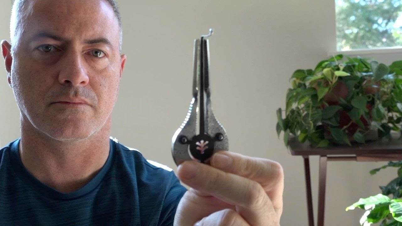 Jaw Harp for readers of Path of the Golden Teacher - mouth harp, doromb ...