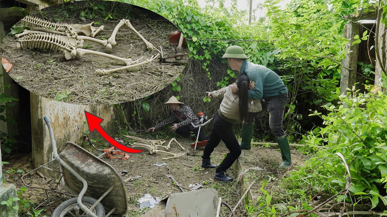 Cleaning Abandoned Houses: Terrified When Discovering A Skeleton ...