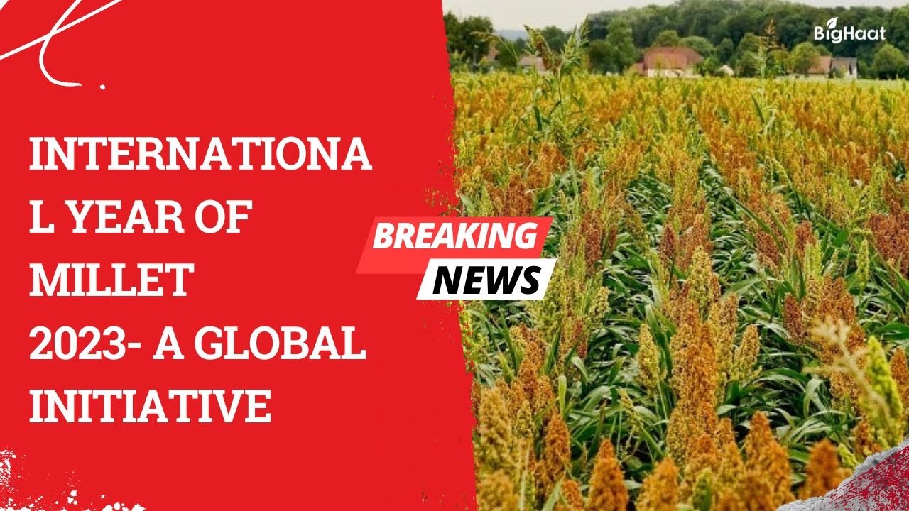 International year of millet 2023- a global initiative - YouTube