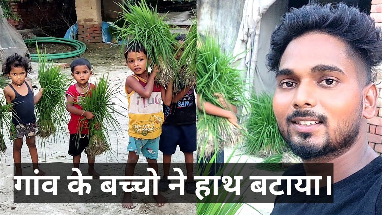 gaanv ke bachcho ne haath bataaya🌾गांव के बच्चो ने हाथ बटाया ...