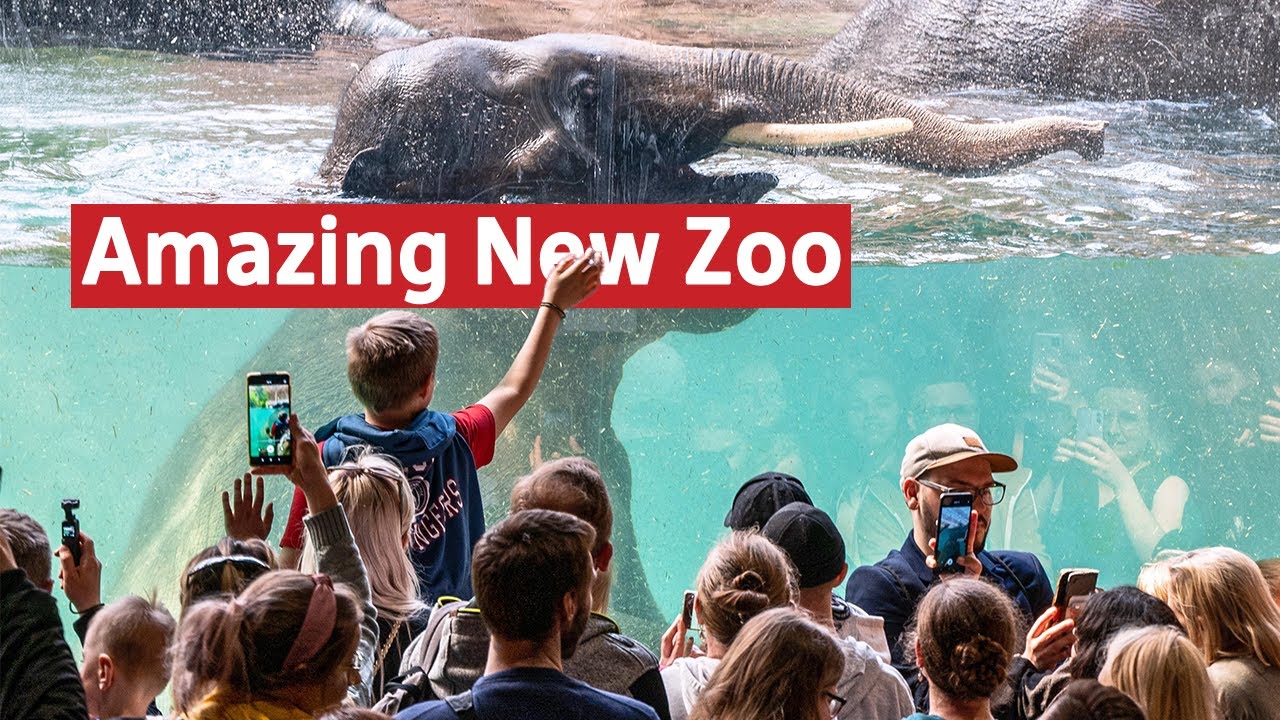 Poland opens amazing new zoo - YouTube