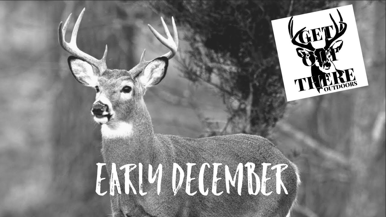 Early December Pattern - YouTube