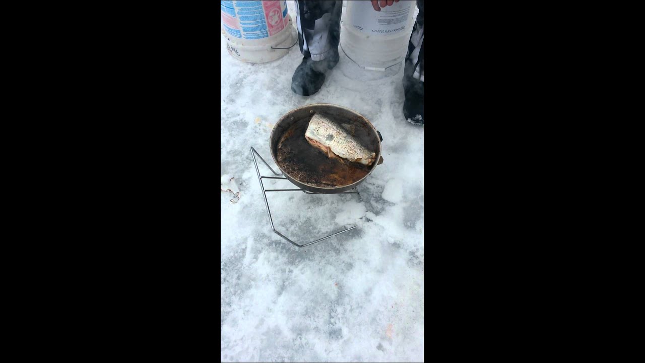 Fish Flopping in Pan - YouTube