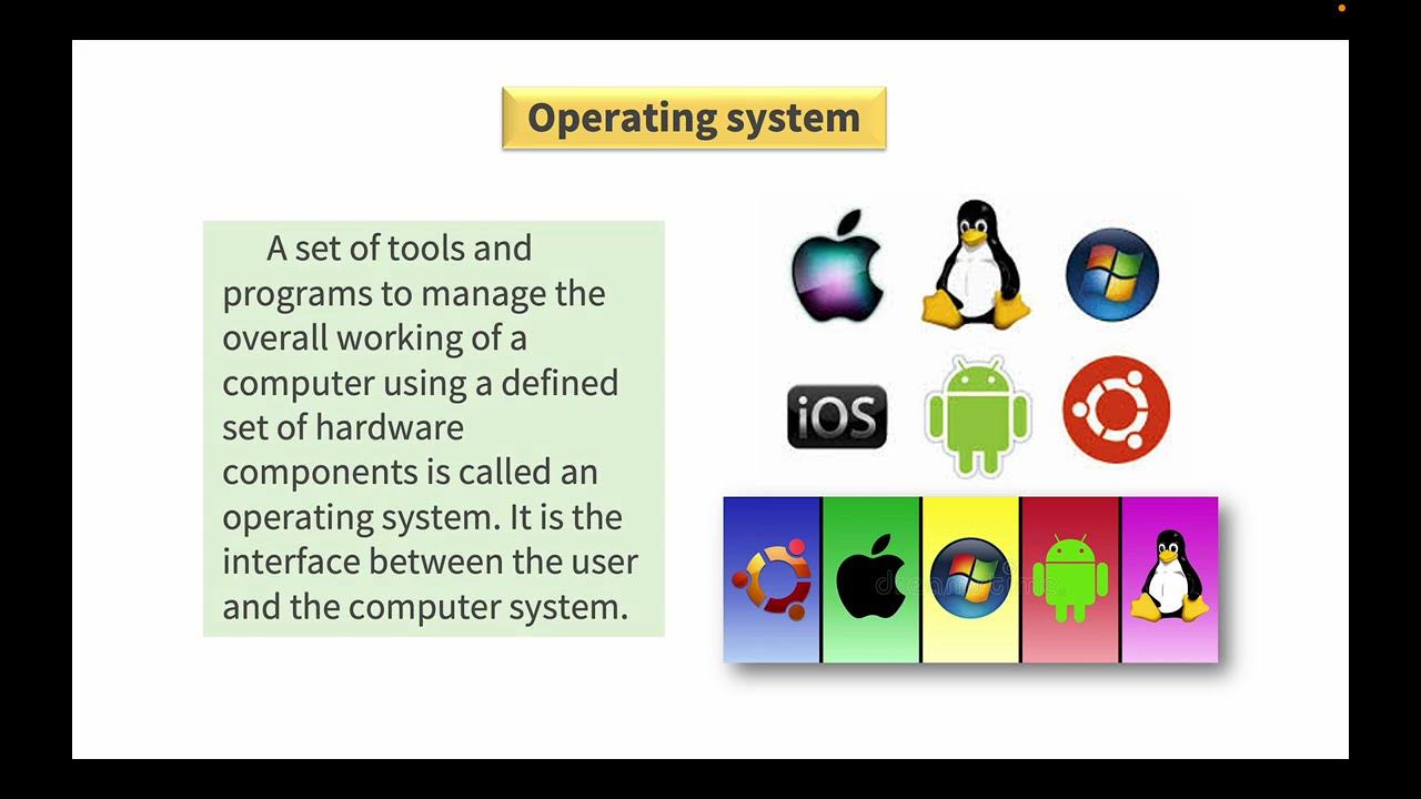 Components of the Computer System - YouTube