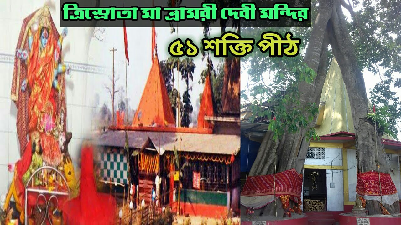 BHAMRI DEVI MANDIR || Vamri Devi Temple || 51 সতী পীঠ || Bhamri Devi ...