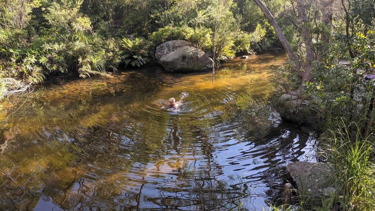 SS/315-Pearly Ponds Pearl Beach & Woy Woy Hotel Woy Woy Central Coast ...