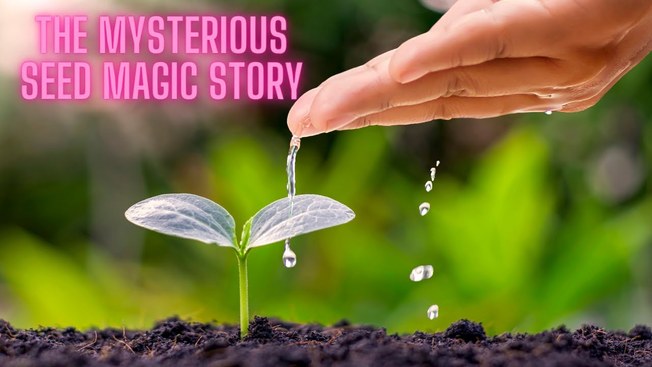 The mysterious seed magic story | Stories for English learners # ...