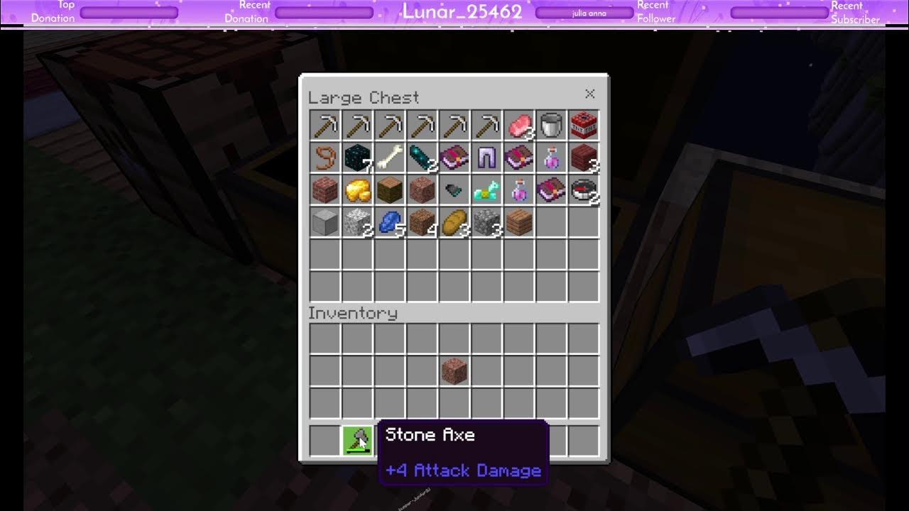 Lunar and Eclipse play 100 days in Minecraft!! - YouTube