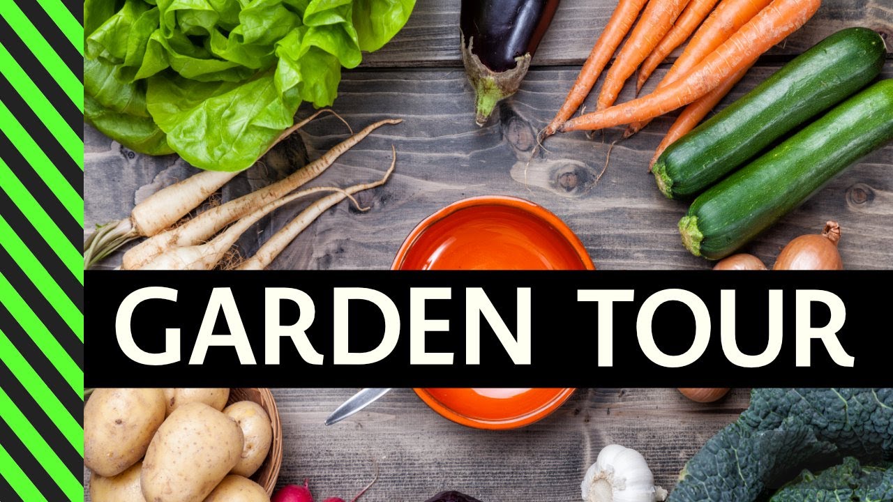Garden & Yard Tour 2020 (4K) - YouTube