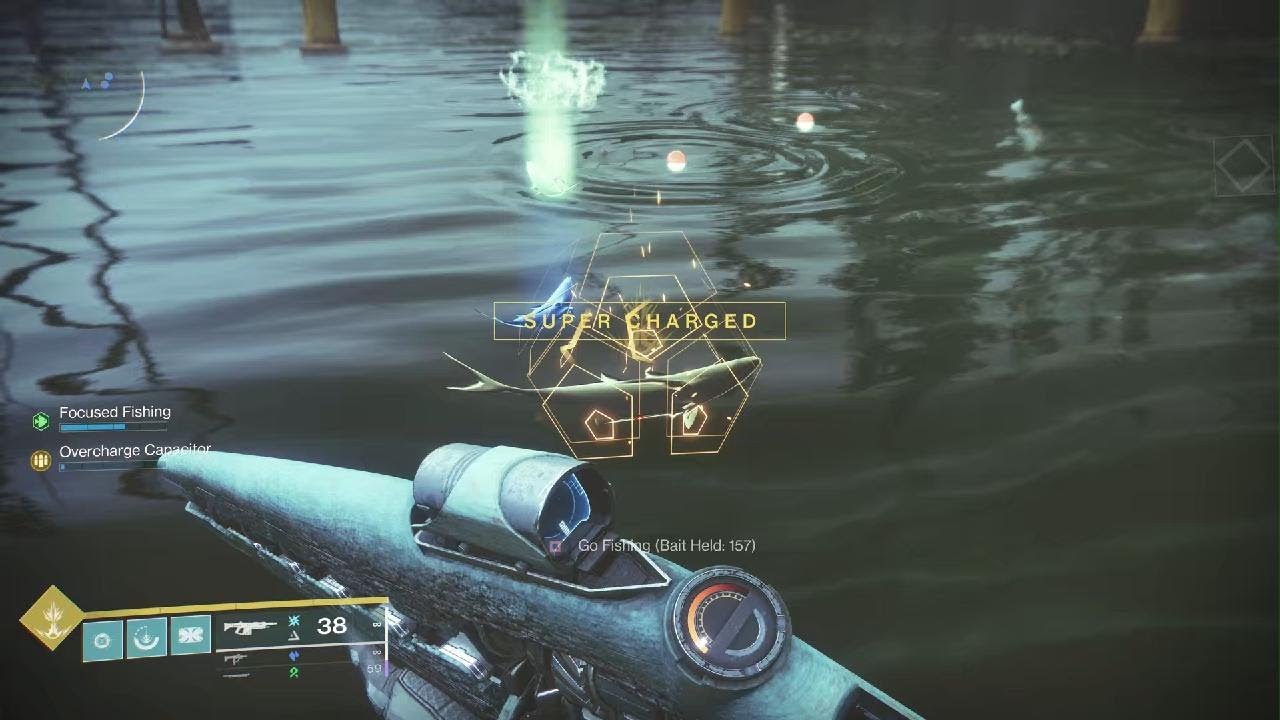 Destiny 2 lets go baby gold fish - YouTube
