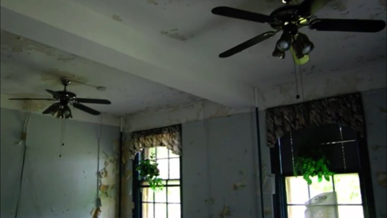 Abused and Dead Ceiling Fans #8 - YouTube