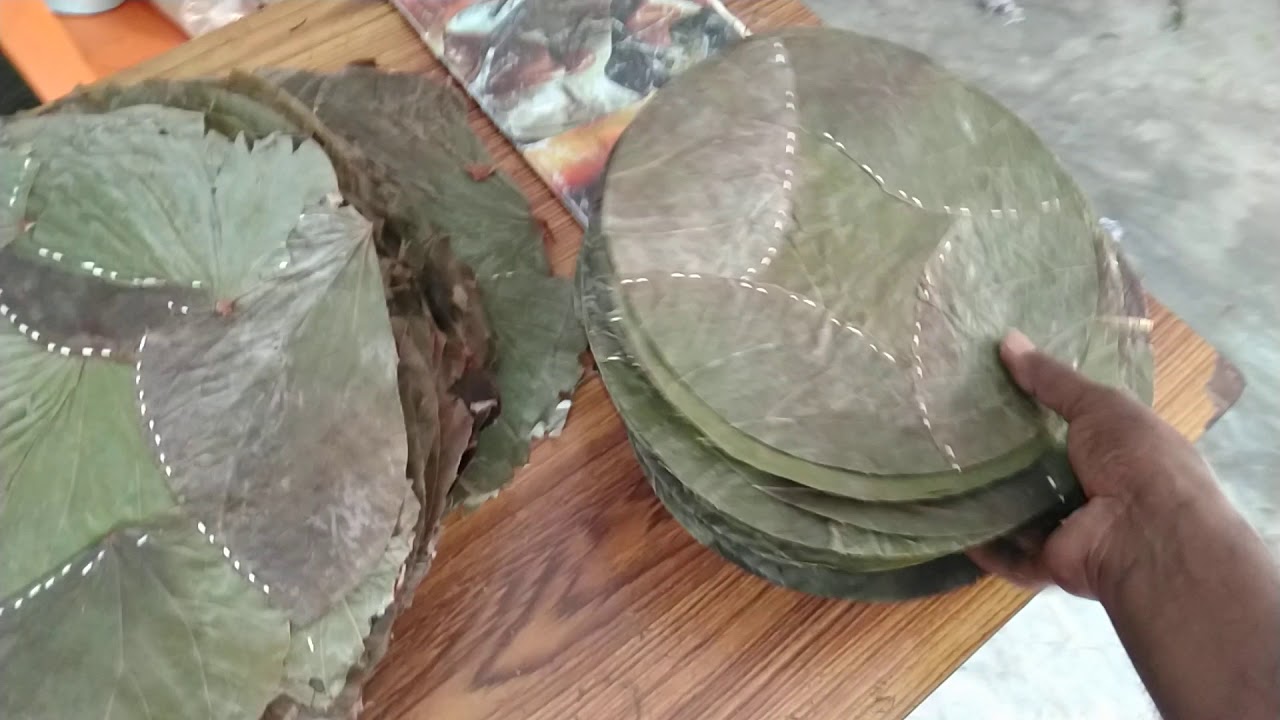Mandharai leaf rounded cutting | mandharai leaf making bussiness - YouTube
