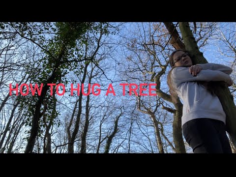 How to hug a tree - YouTube