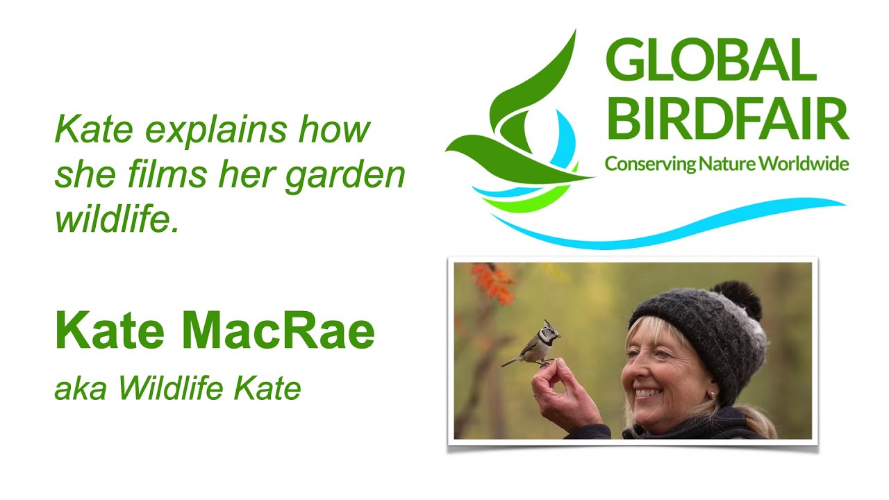 Kate MacRae, aka Wildlife Kate, talks about her wildlife haven in South ...