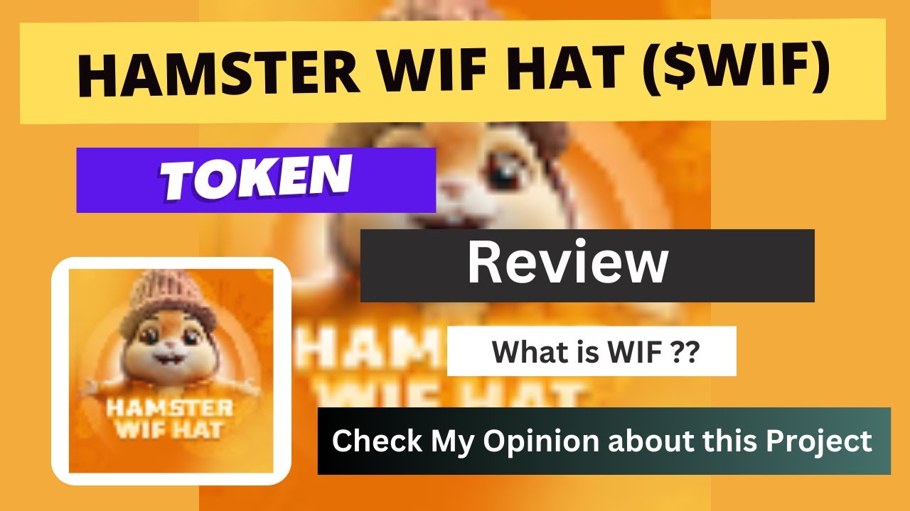 What is HAMSTER WIF HAT (WIF) Coin | Review About WIF Token - YouTube