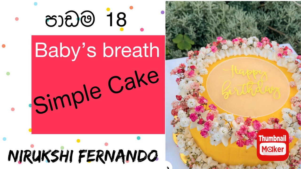 Baby's Breath Simple Cake / උපන්දින කේක් පාඩම් මාලාව / පාඩම 18 ...