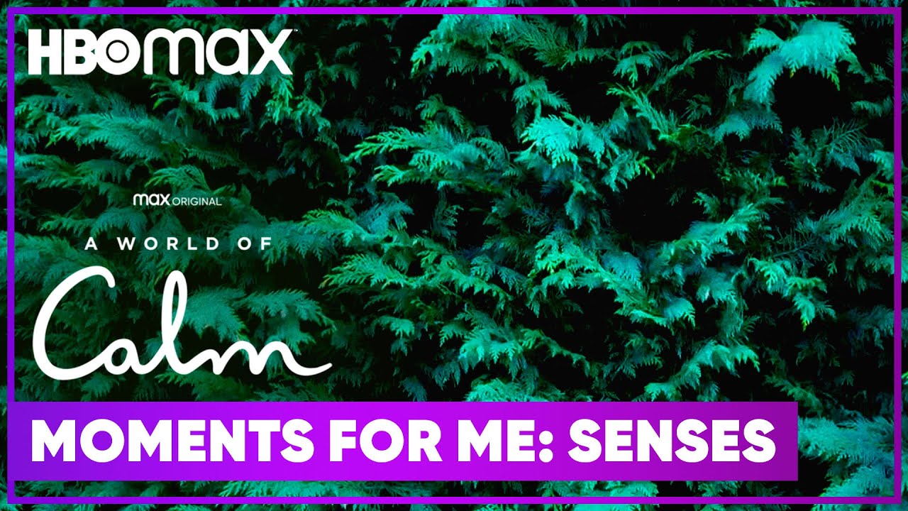 A World of Calm | Moments for Me: Mindfulness with Senses | HBO Max ...