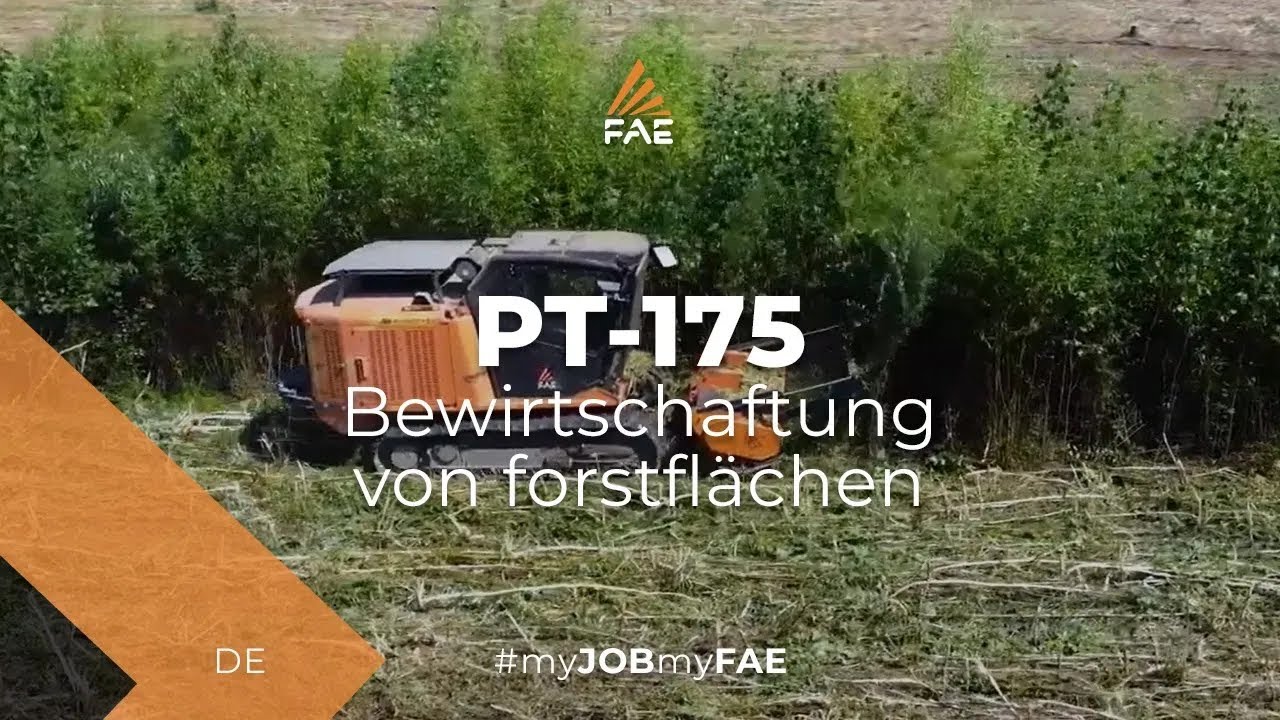 Das FAE Raupenfahrzeug mit dem Forstmulcher 200 U bei der Arbeit, um ...
