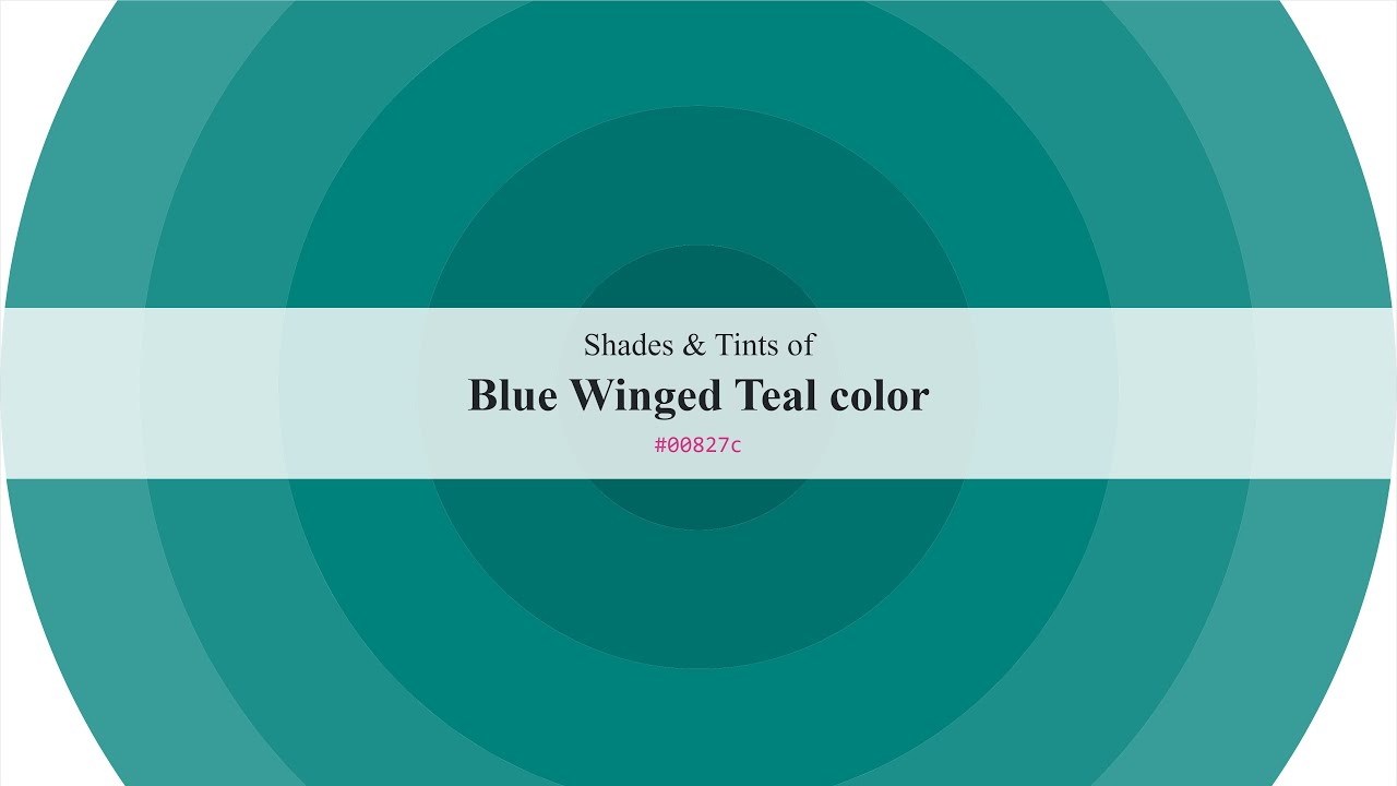 Shades & Tints of Blue Winged Teal color #00827c A Cool Blue color ...