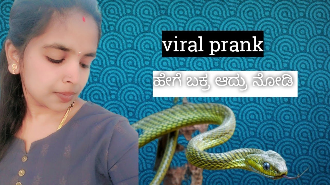 viral prank snake prank - YouTube
