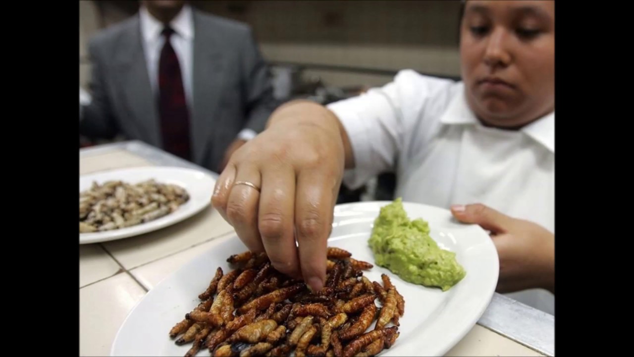 Las comidas más EXTRAÑAS del MUNDO - YouTube