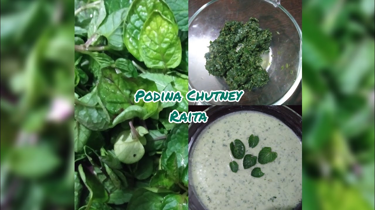 Podina Chutney Recipe/Mint Chutney/Raita - YouTube