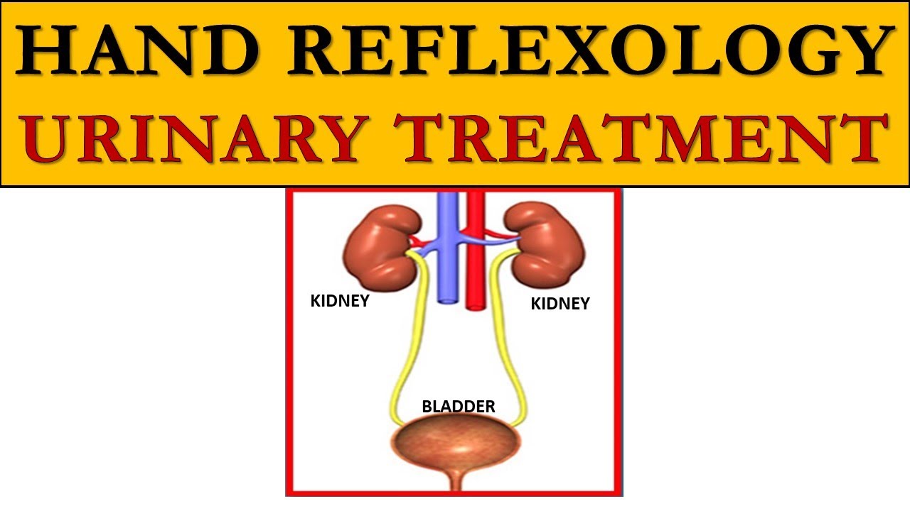 🖐Urinary System Hand Reflexology - YouTube