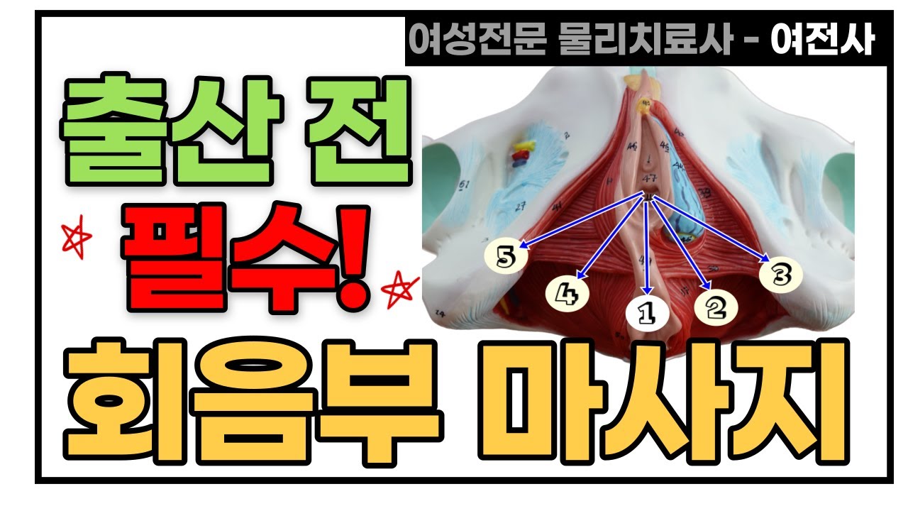 💥주목💥회음부마사지 필수영상🗣️🗣️[ 자연분만 | 자연주의출산 | 출산준비 | perineal massage ] - YouTube