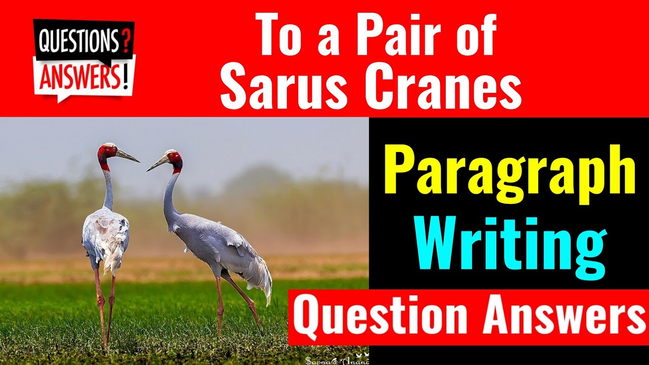 To A Pair Of Sarus Cranes-Class 10 SSLC English Poem-Paragraph Writing ...