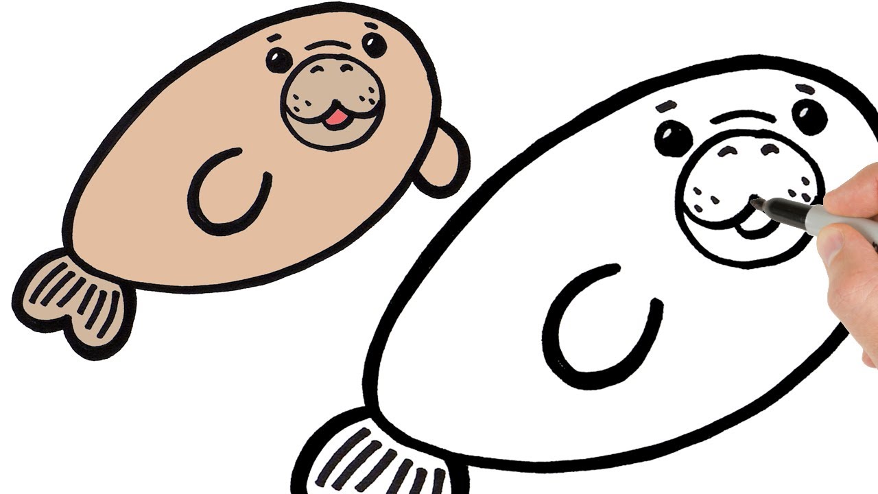 How to Draw Manatee | Step by Step | Easy Animals Drawing Tutorial ...