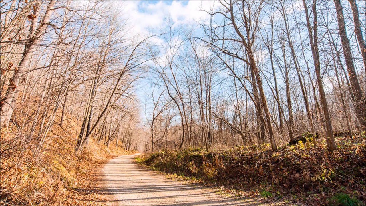 Pine Creek Rustic Road 51 - YouTube