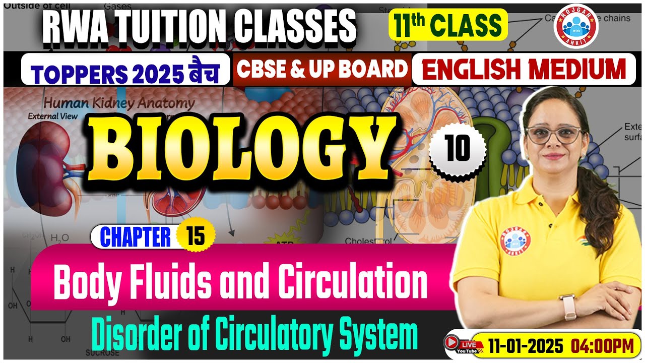 Class 11 Biology Chapter 15 Body Fluids and Circulation | 11th Biology ...