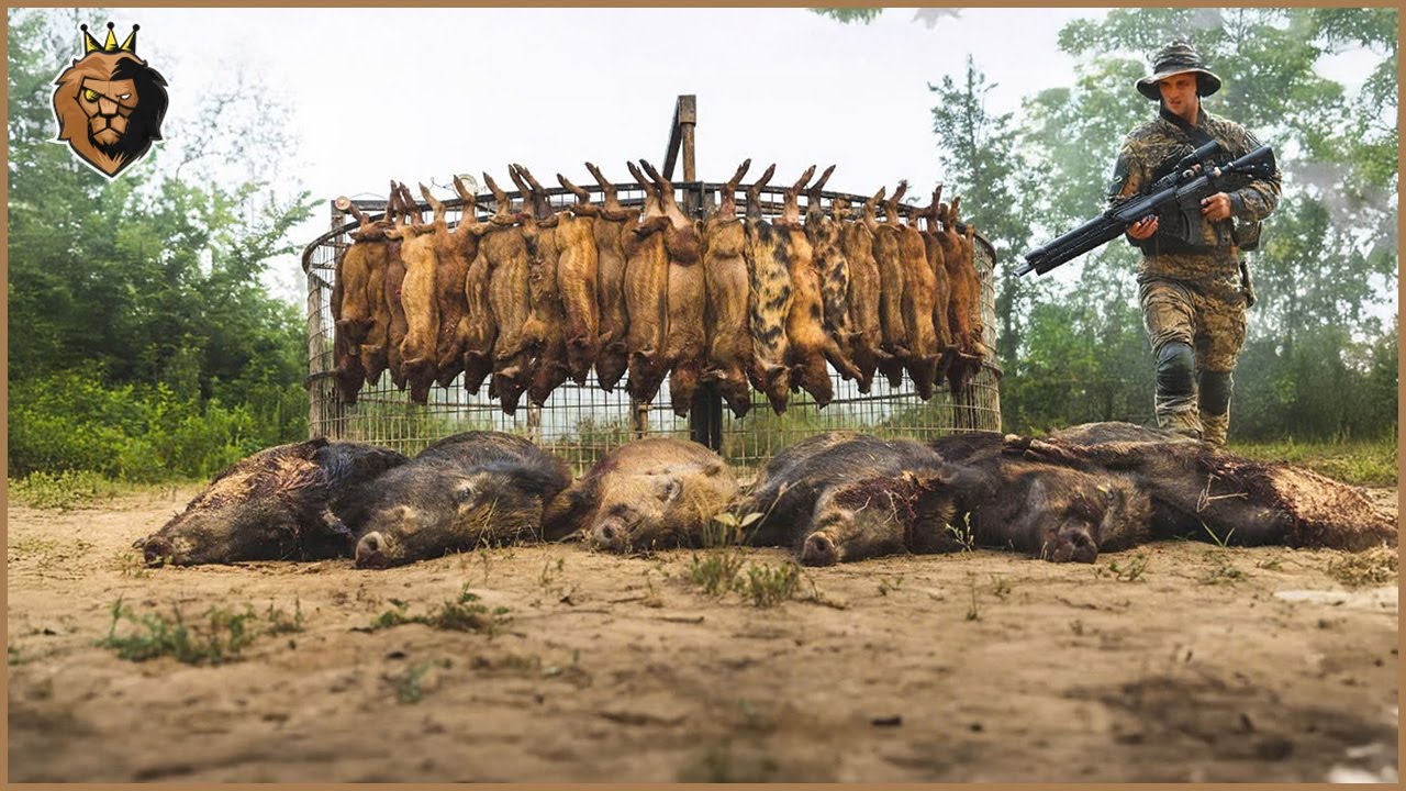 How Did Hunter Raymond Handle Hundreds of Wild Boars in a Single Day ...