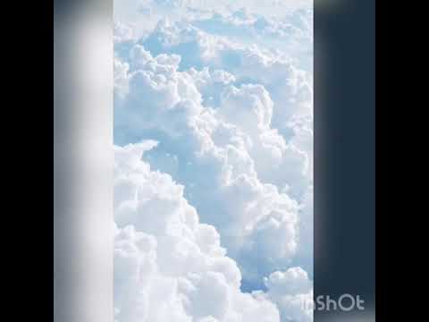 Poeziya axşamı - Məhəbbət şeirləri. Saleh Tale - Alim