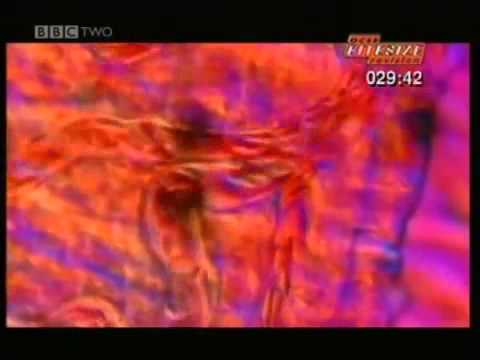 GCSE BBC Science Bitesize Blood Circulation - YouTube