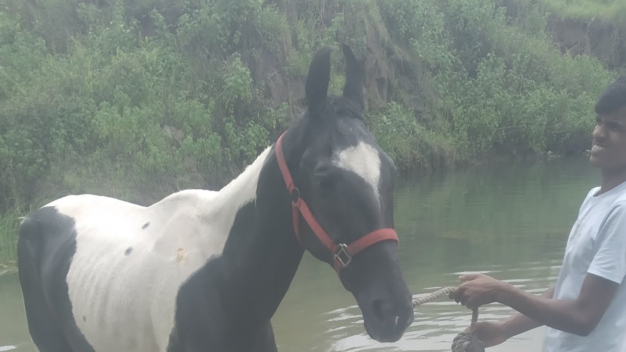 Sanjab mare sale mare62 Video pura dekhe @Kvmkashiphotography - YouTube