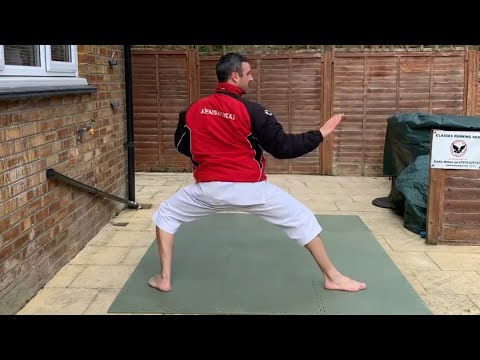 SHUTO UKE - Knife hand block -KOKUTSU DACHI-Back leaning stance # ...