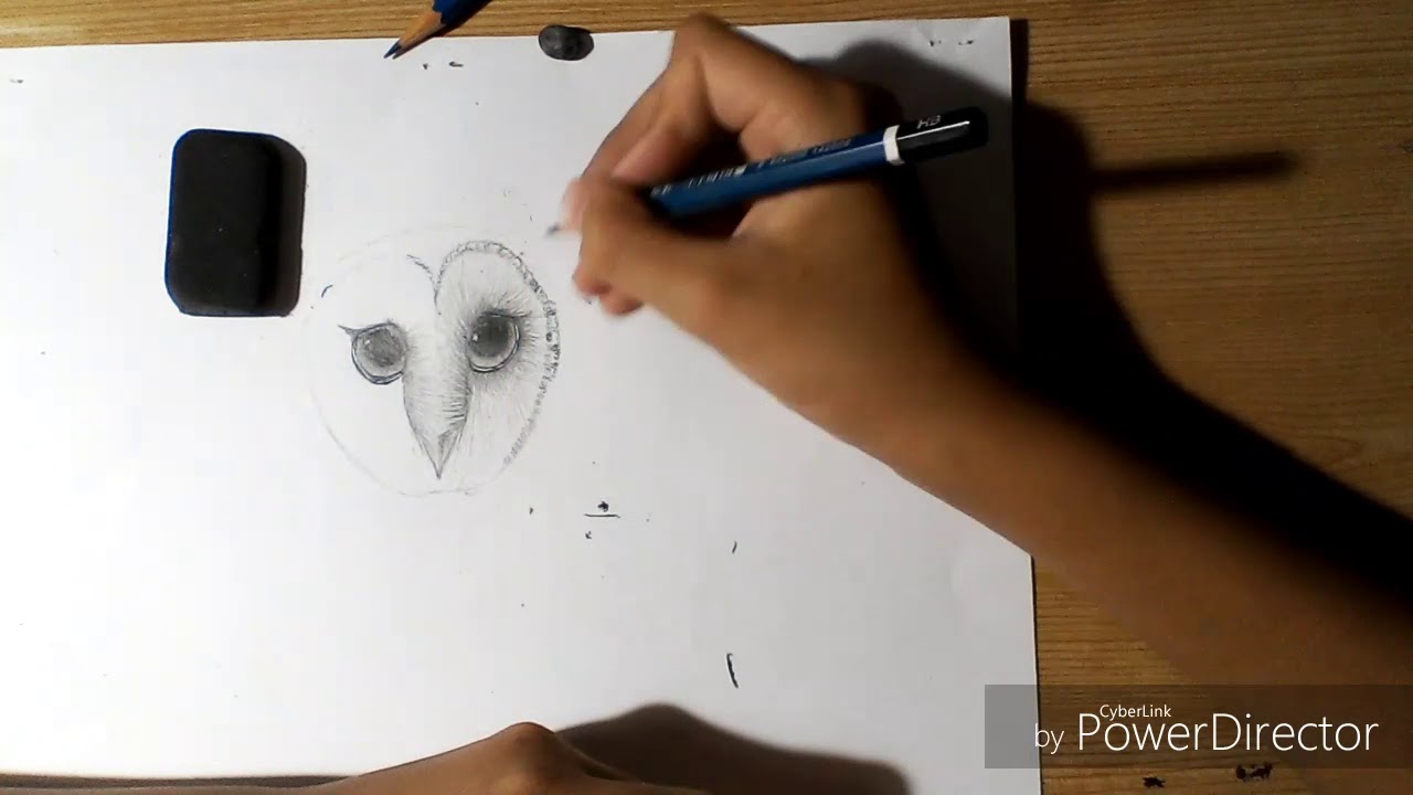 Let's draw Lookie! Barn owl face speeddraw *special for Vegan Hippie ...