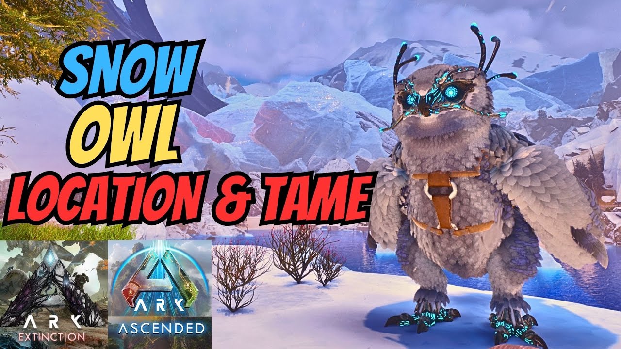 Snow Owl Location & Tame Extinction Ark Ascended - YouTube