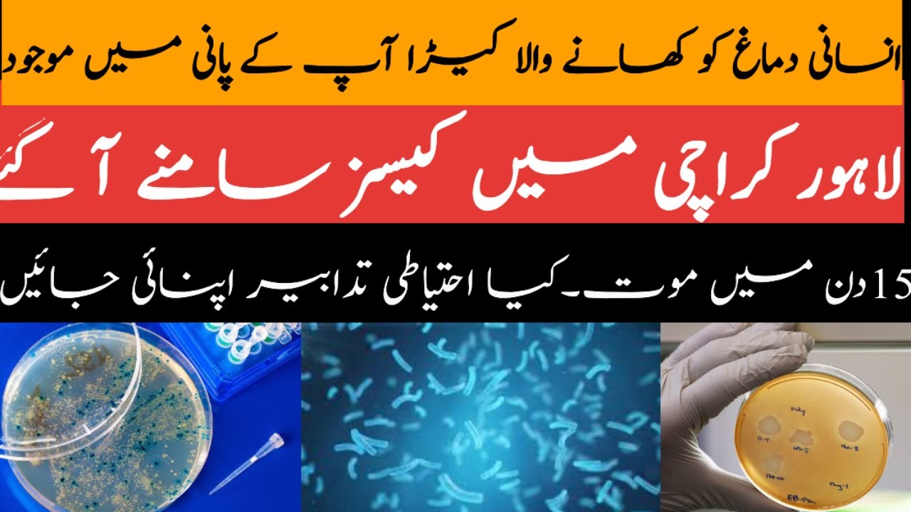 Insani Dimagh Khany Wala Keera Ap k Pani Main? Details by Aqsa Naz ...