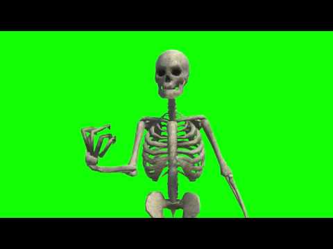 Cool Skeleton Giving The Finger Animation Green Screen Free Footage ...
