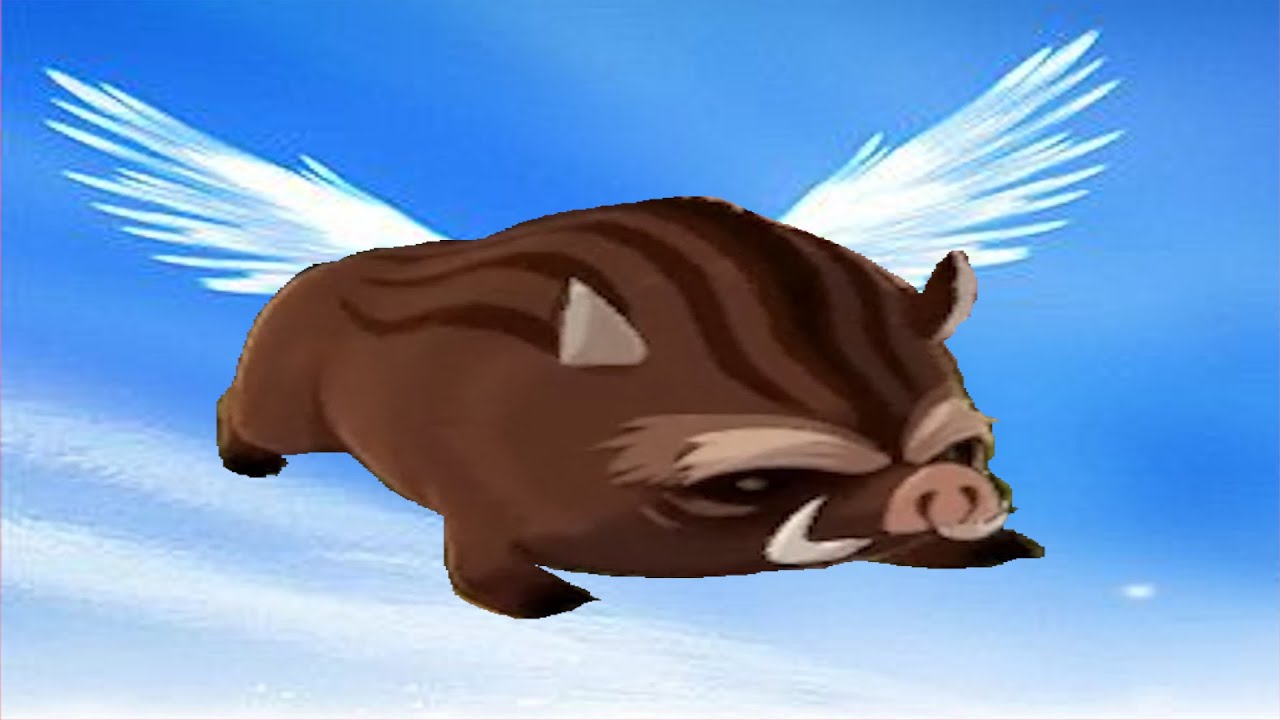 When boar fly - YouTube