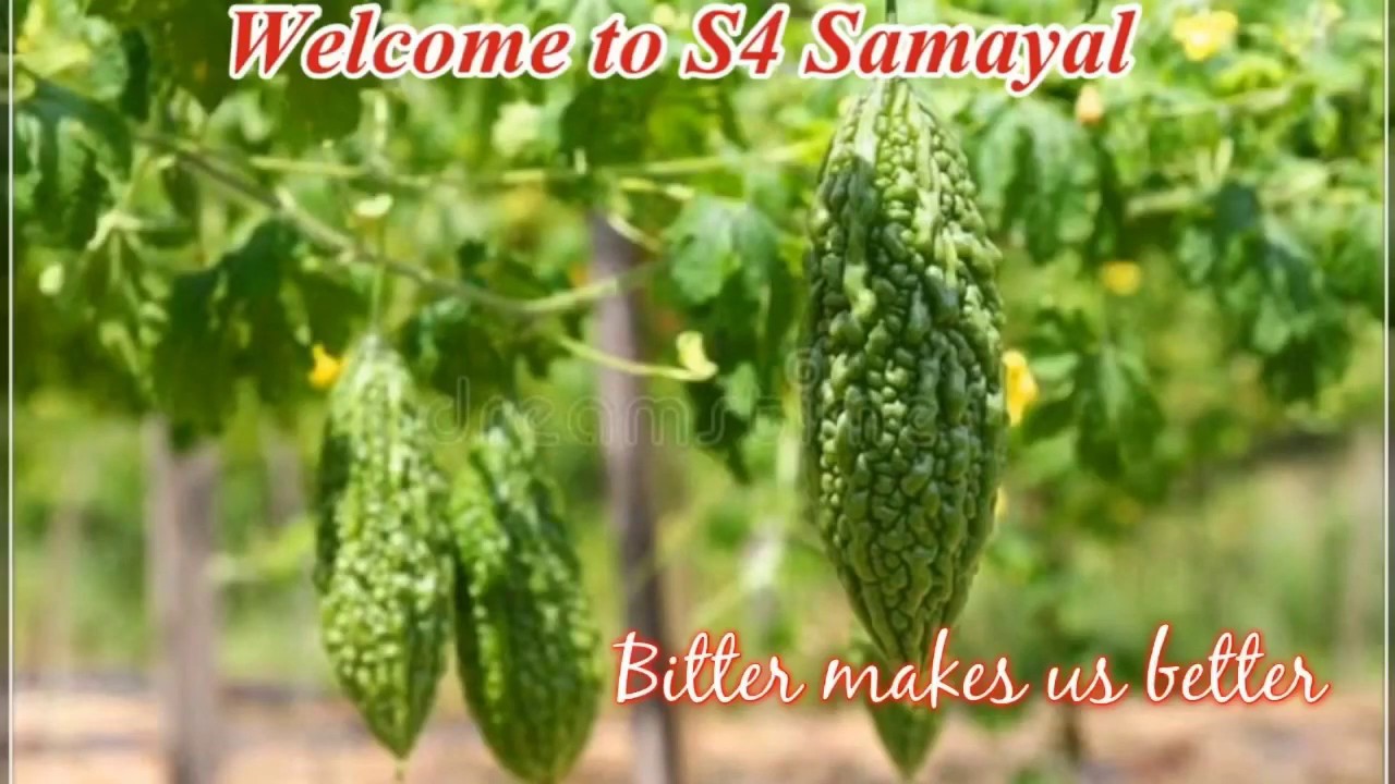 Pavakkai Puli Kulambu/ Bitter gourd curry - YouTube