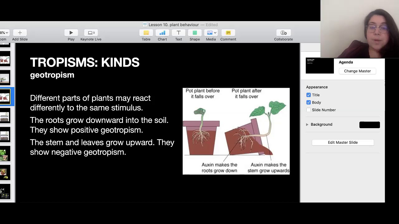 lesson 10 plant behavior - YouTube