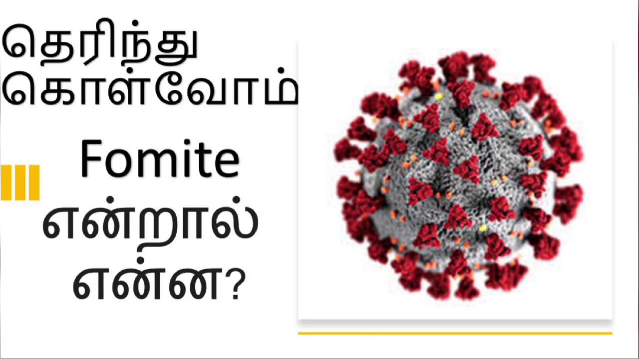 What is fomite | Fomites meaning| Fomite | coronavirus | Fomites ...